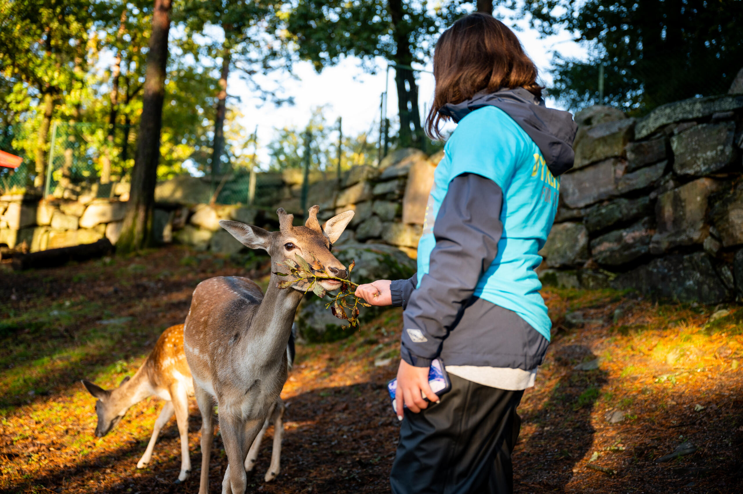 Dyrepasser for en dag | Dyreparken