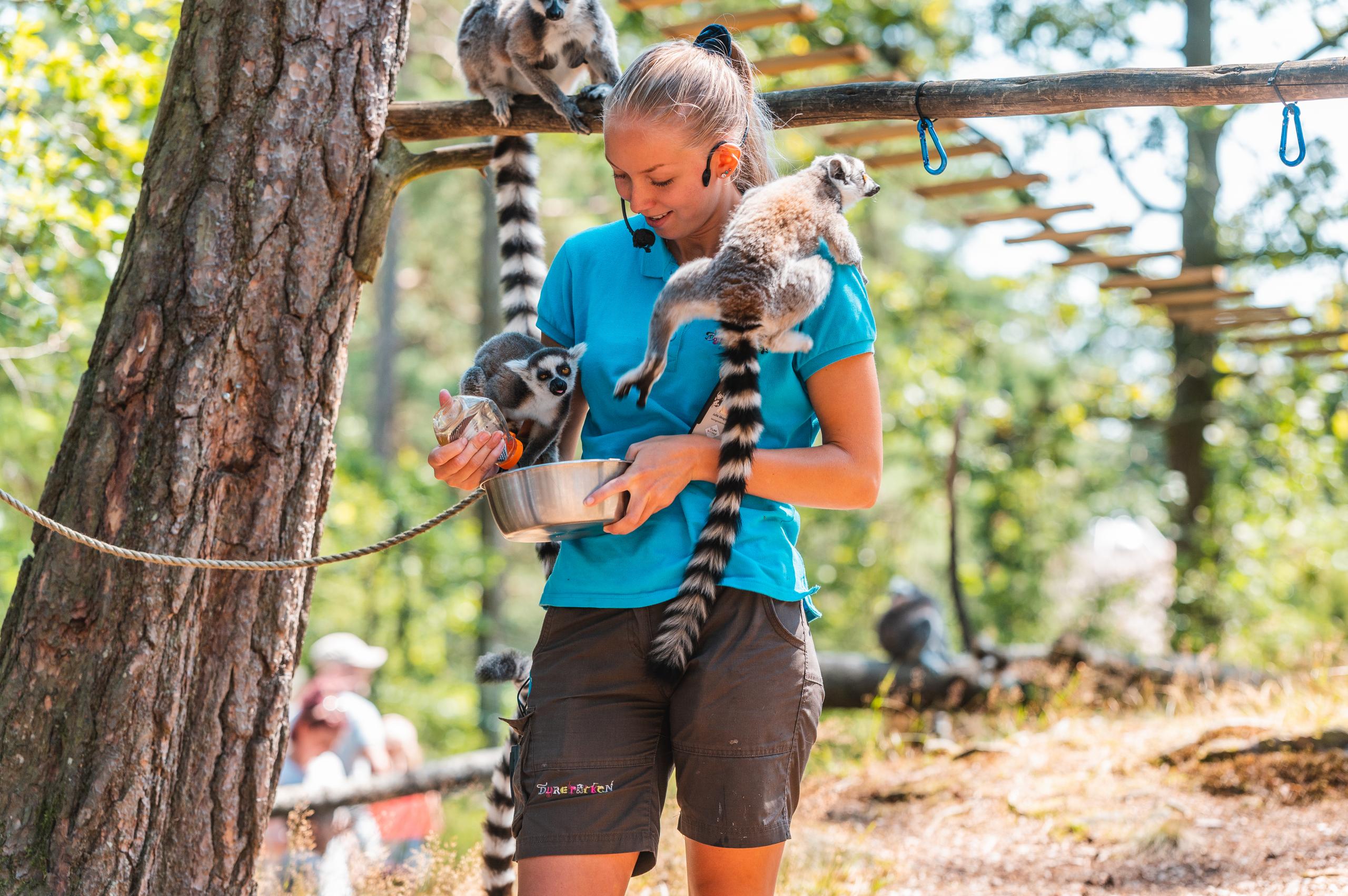 Information in English | Dyreparken