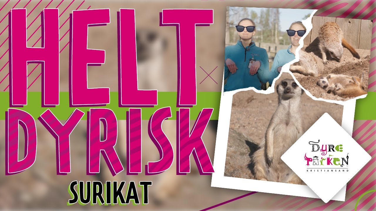 Digital undervisning | Dyreparken