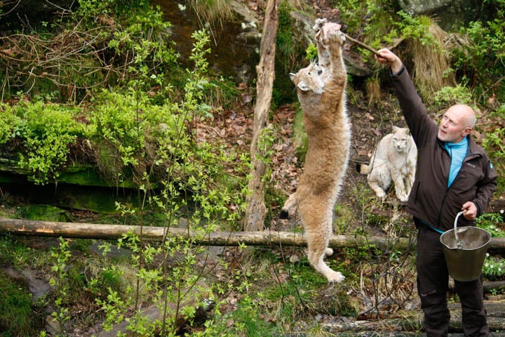 Fotokonkurranse | Dyreparken