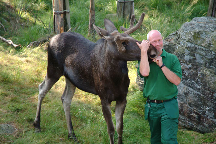 Bestevennene Olav og Odin | Dyreparken