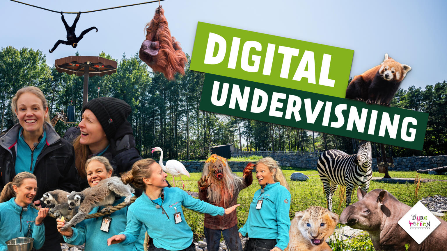 Tidligere sendinger fra Dyreparkens digitale undervisning | Dyreparken