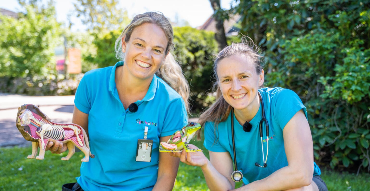 Digital undervisning | Dyreparken